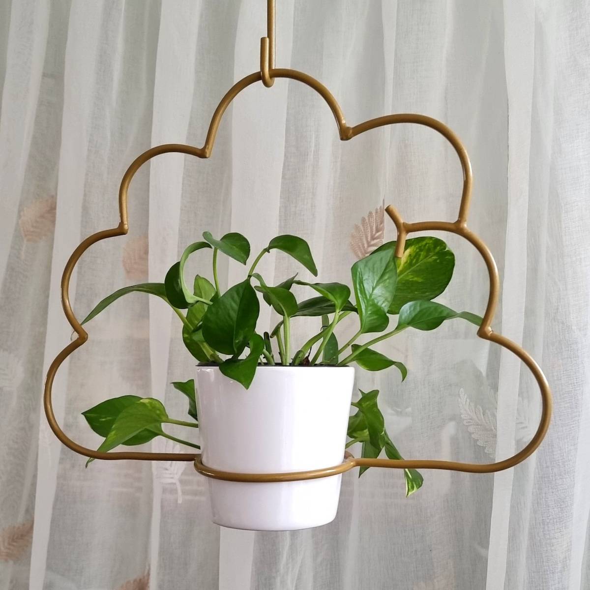 Colgador nube con planta colgante – Mi Jardín
