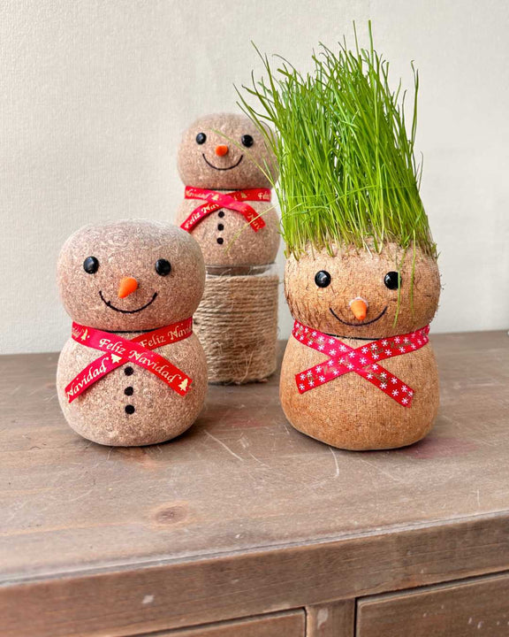 Mister Hugo - Mr Grass – Mi Jardín